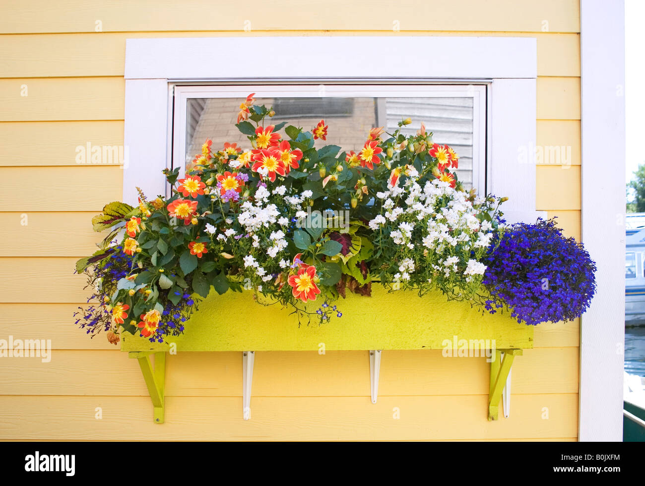 Window box filled with annual flowers Stock Photo - Alamy