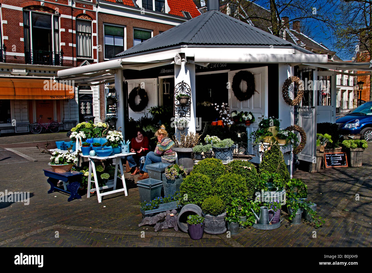 Flower Shop In Holland at Paulette Flores blog