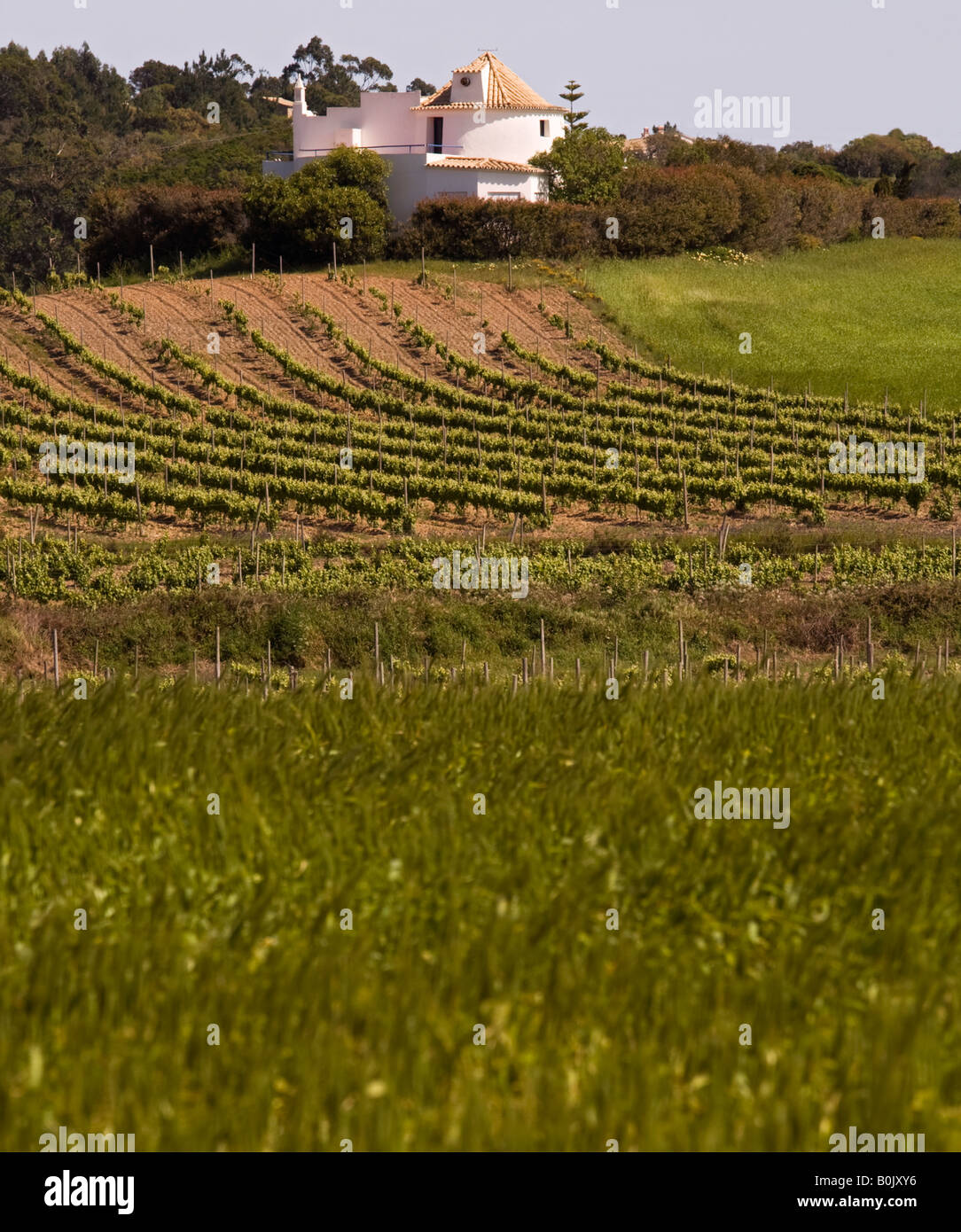 Farmland grow hi-res stock photography and images - Alamy