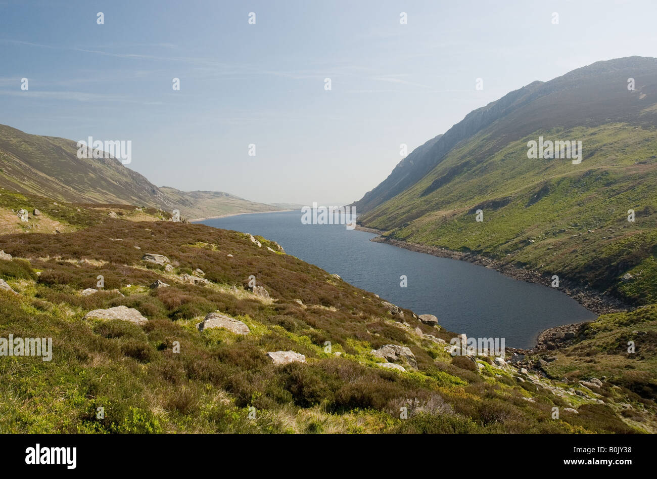 Llyn cowlyd hi-res stock photography and images - Alamy
