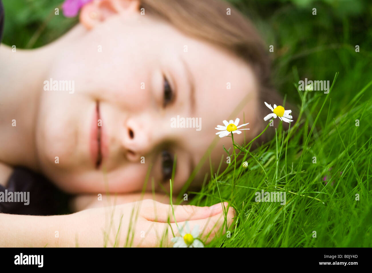 young girl with daisies, girl lying in grass picking daisy Stock Photo ...
