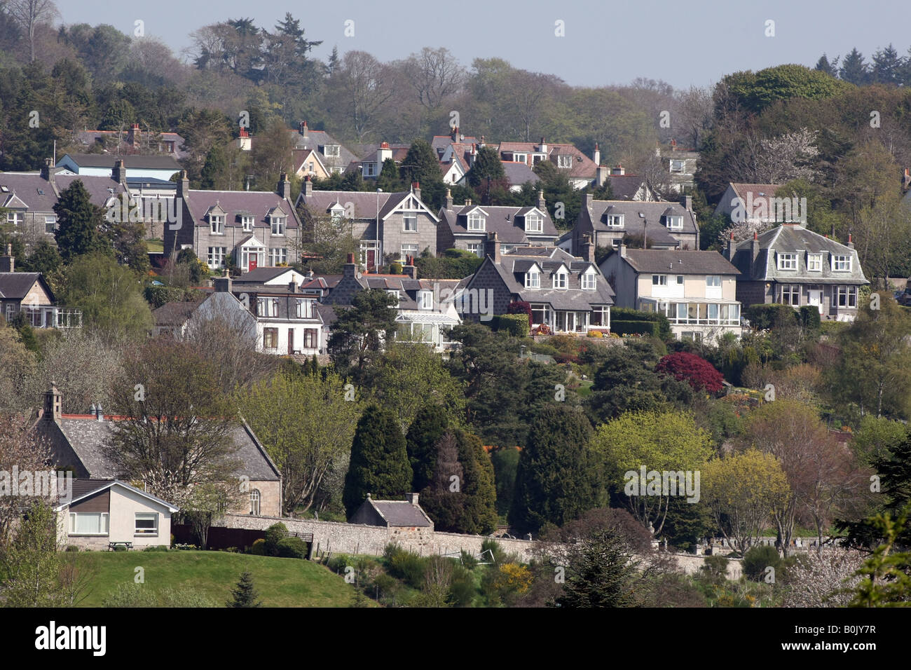 Culter High Resolution Stock Photography and Images - Alamy