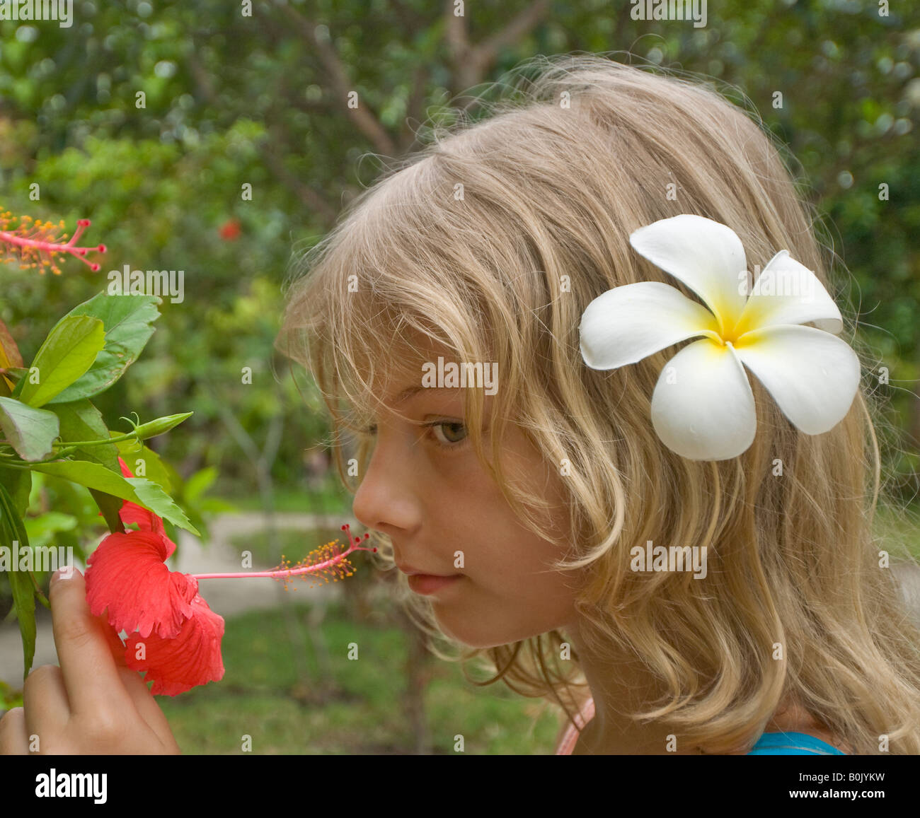 Child enjoying fragrance of hibiscus flower Stock Photo - Alamy