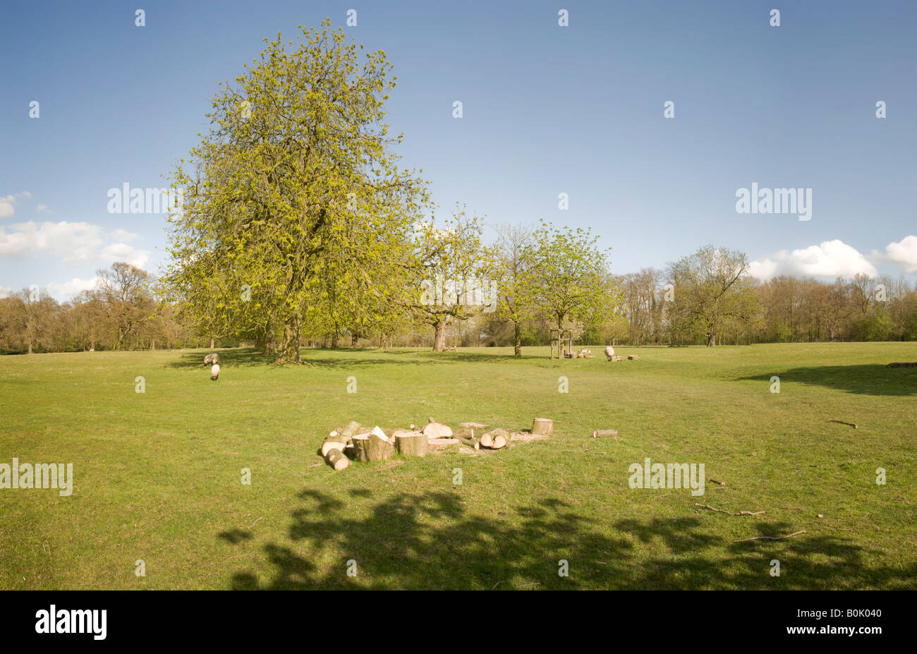 footpath path trail track gate wood wooden walking rambling trekking ...