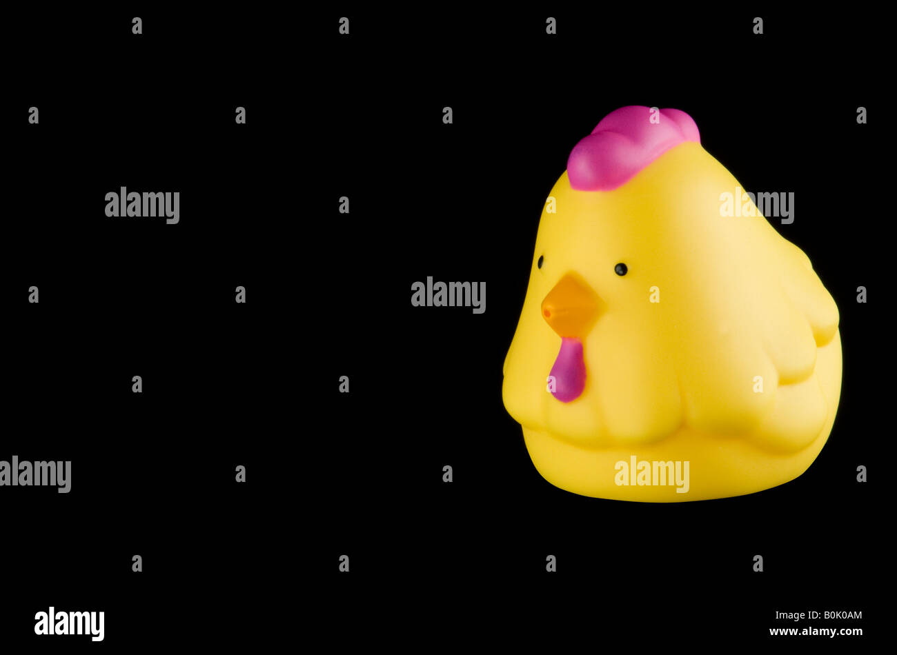 Yellow plastic toy chicken on black background Stock Photo - Alamy
