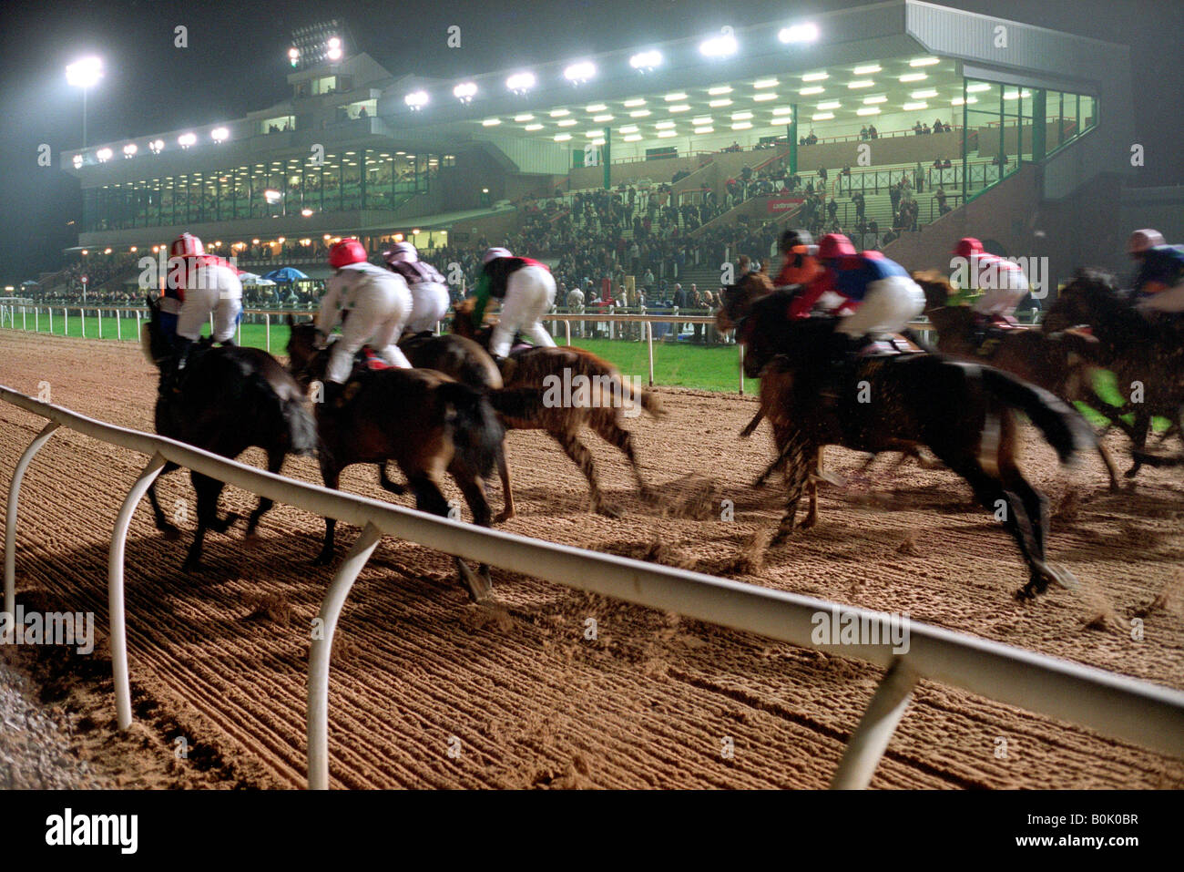 All-weather night horse racing Stock Photo - Alamy