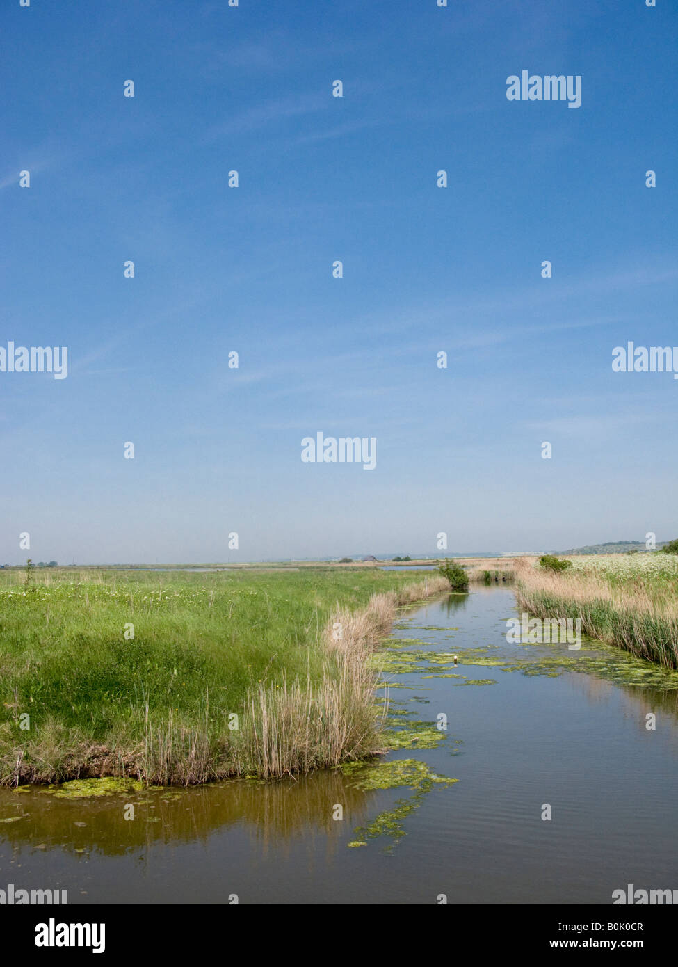 Drainage ditch Oare Marsh with blue sky and high cirrus clouds looking ...