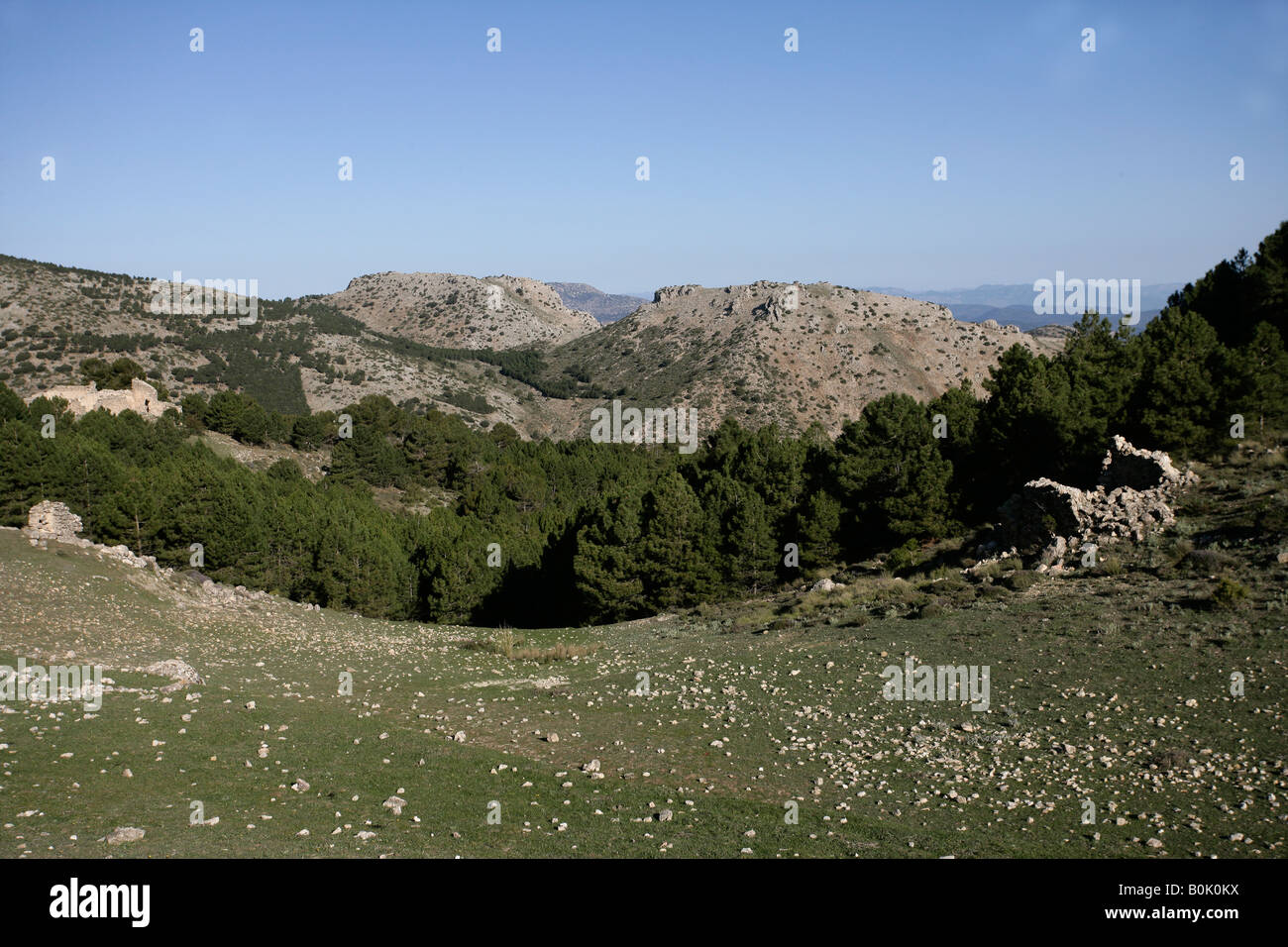 Espuna mountain National Park Murcia Spain Pine woodlands Stock Photo ...