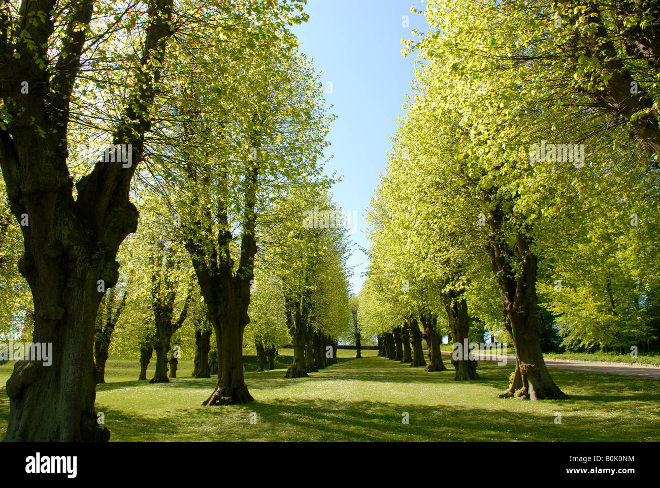 Frederiksberg Park Spring High Resolution Stock Photography and Images ...