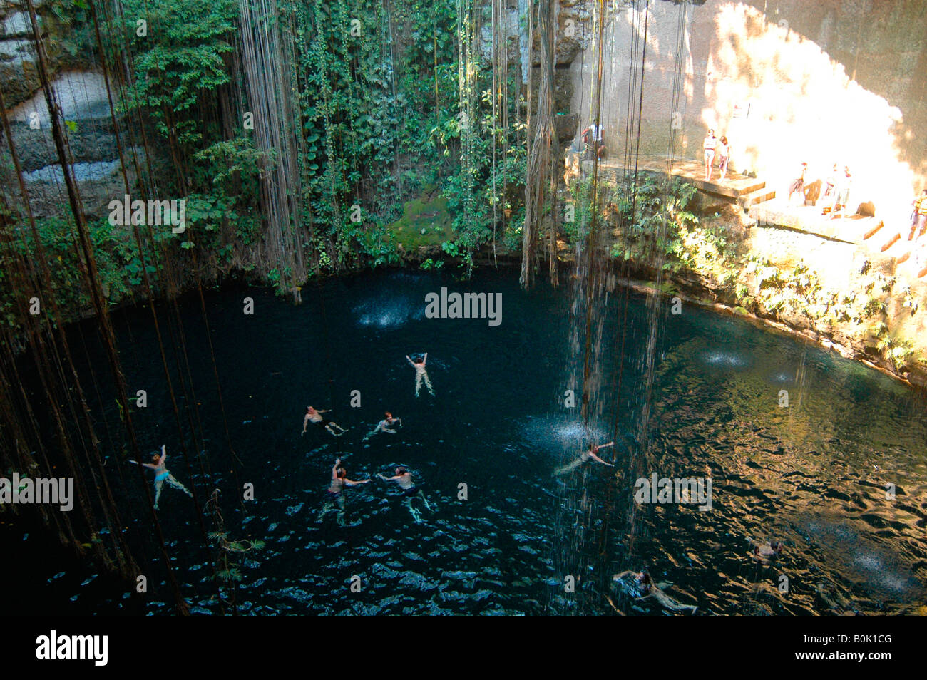 Cenote Cenotes in Yucatan Peninsula People Swiming Fresh water Sink ...