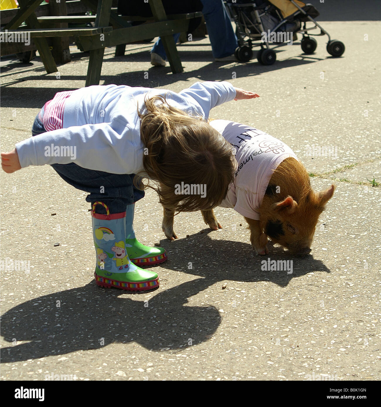 Cute Little Girl with Piglet Stock Photo - Alamy