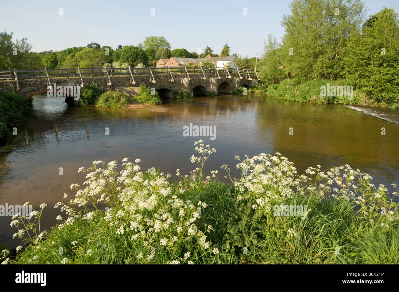 River Wey Tilford Surrey UK Stock Photo - Alamy