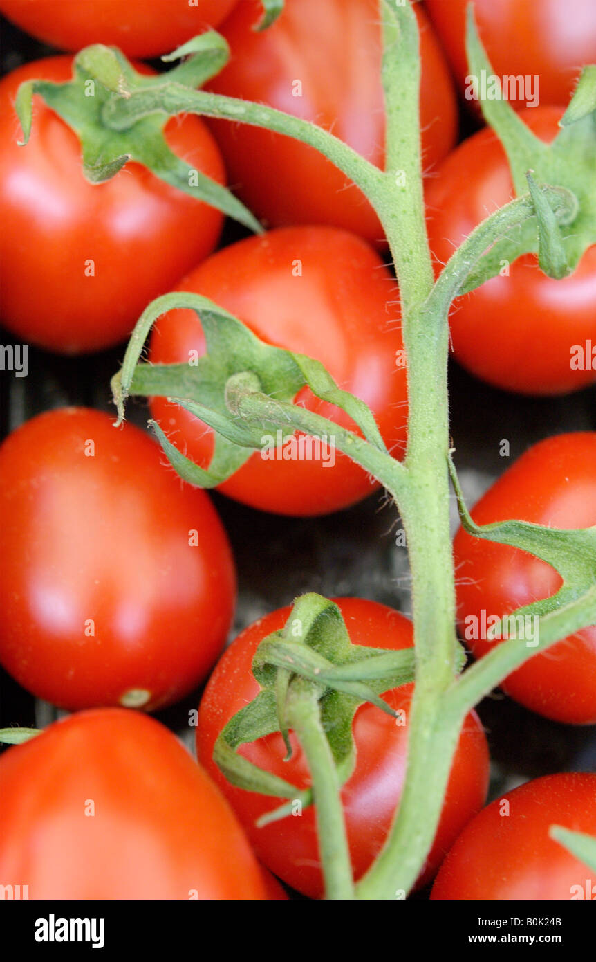 Benefits of tomatoes hi-res stock photography and images - Alamy