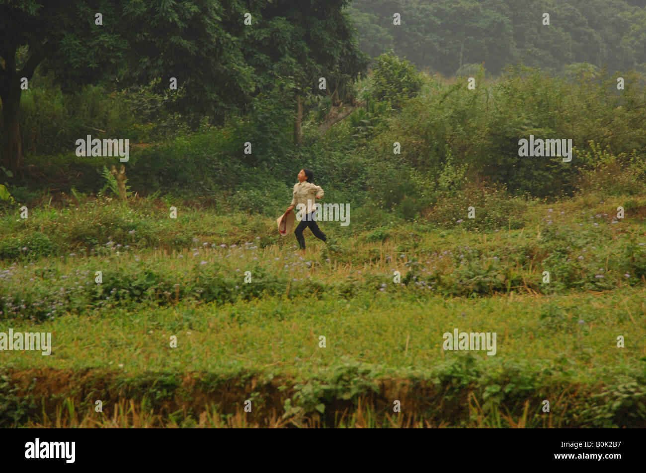 young vietnamese girl running through rice paddy Stock Photo - Alamy