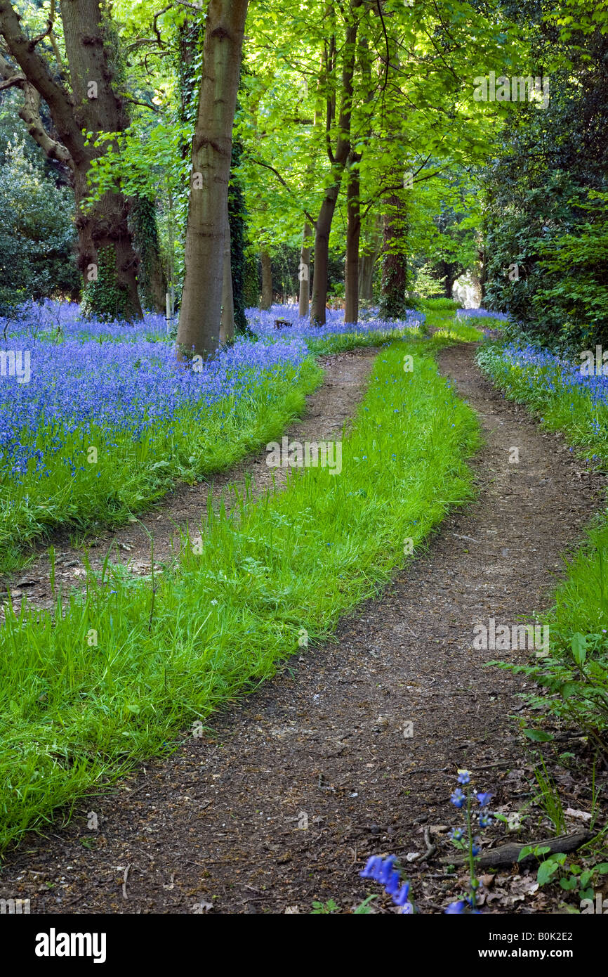 Wood track hi-res stock photography and images - Alamy