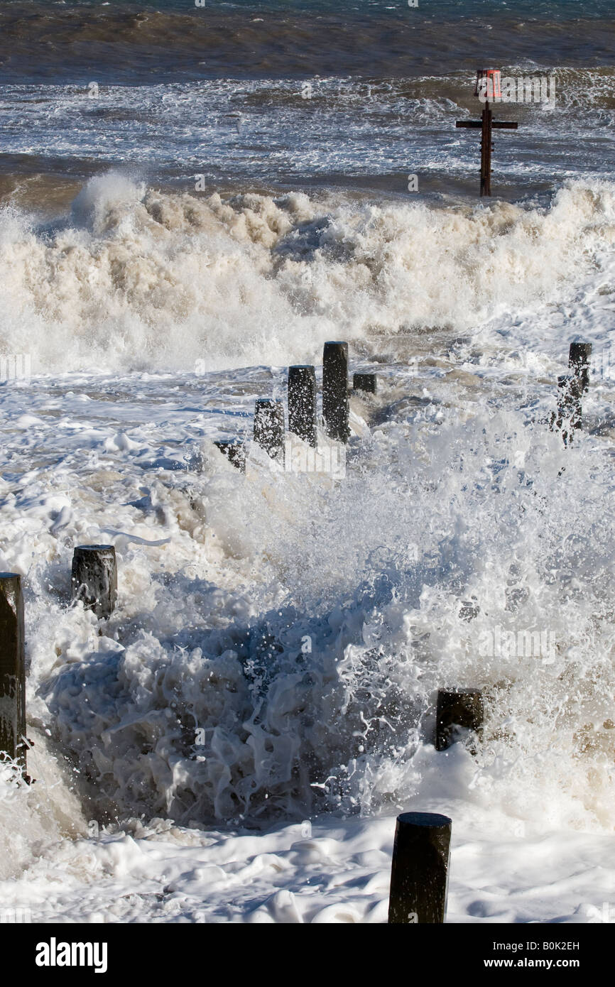 Crest norfolk hi-res stock photography and images - Alamy