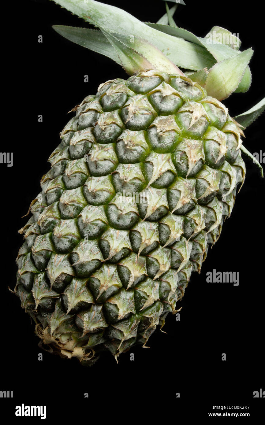 Hard skin fruit hi-res stock photography and images - Alamy