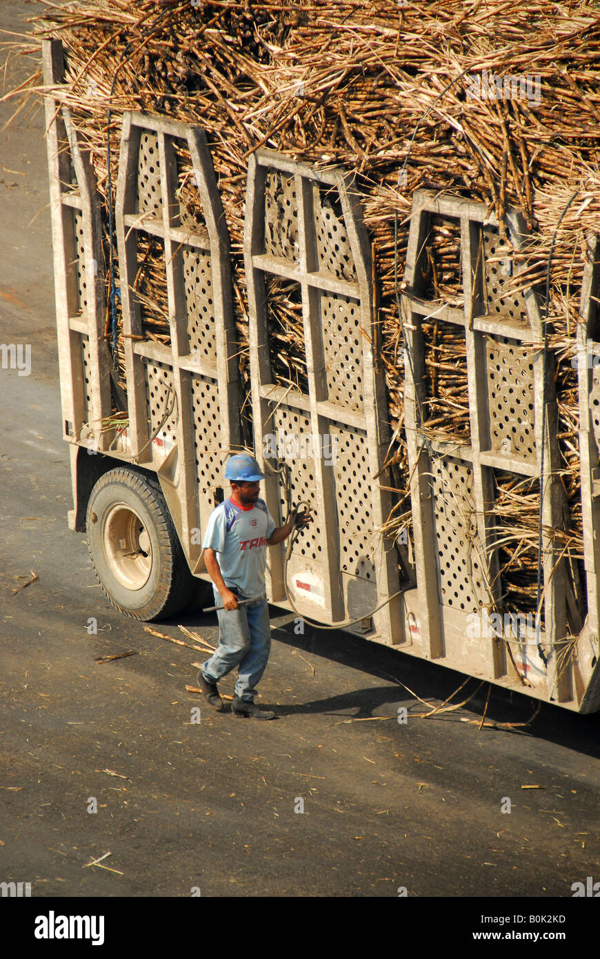 Sugar cane is transported to the mill at Cosan SA Brazil s largest ...