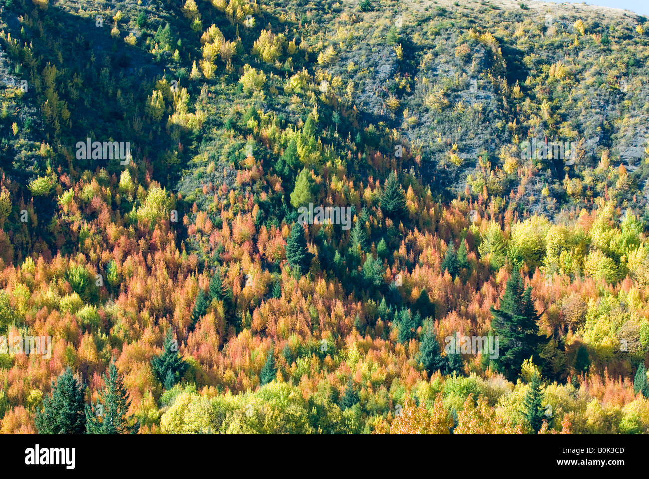 Arrowtown autumn hi-res stock photography and images - Alamy