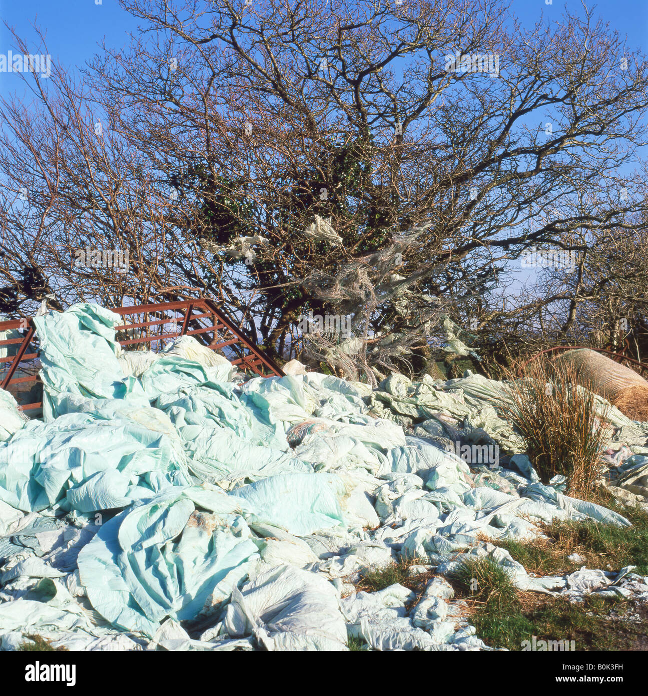 Plastic waste from silage bales on a farm in Wales UK Stock Photo - Alamy