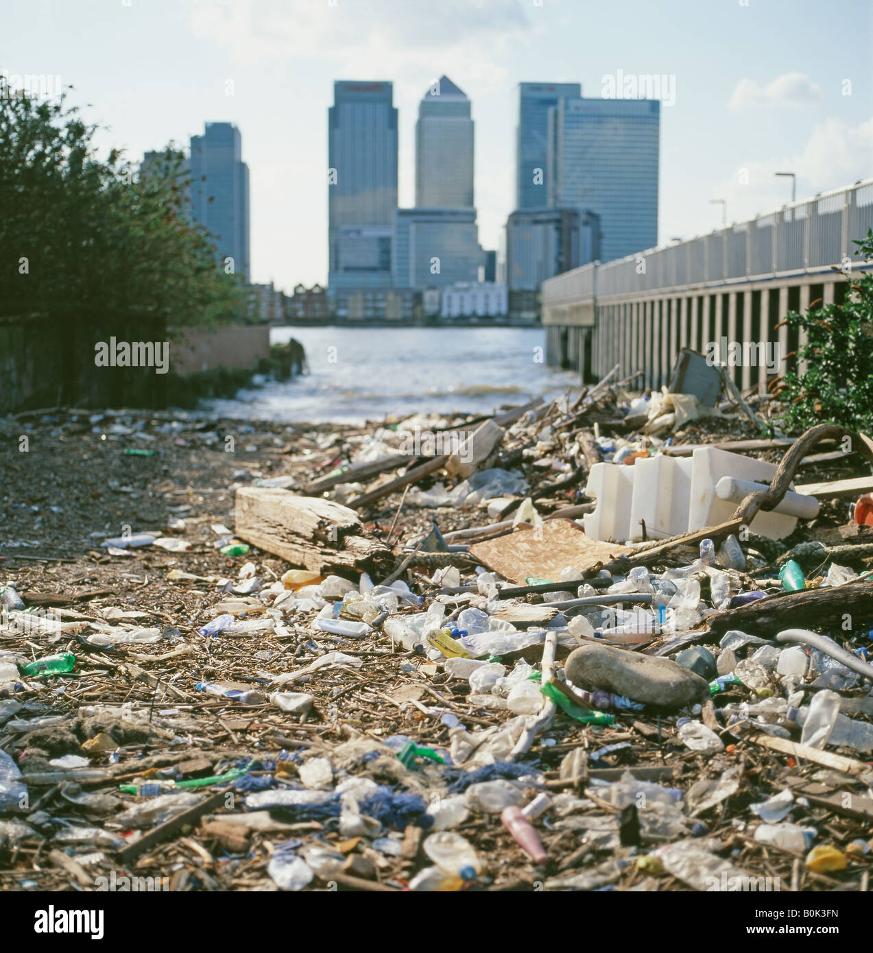 River Thames Pollution