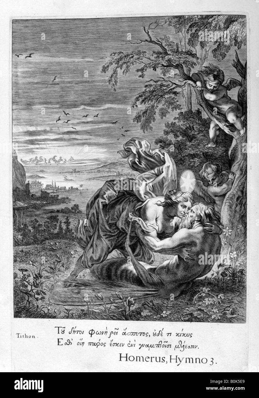 Eos tithonus Black and White Stock Photos & Images - Alamy