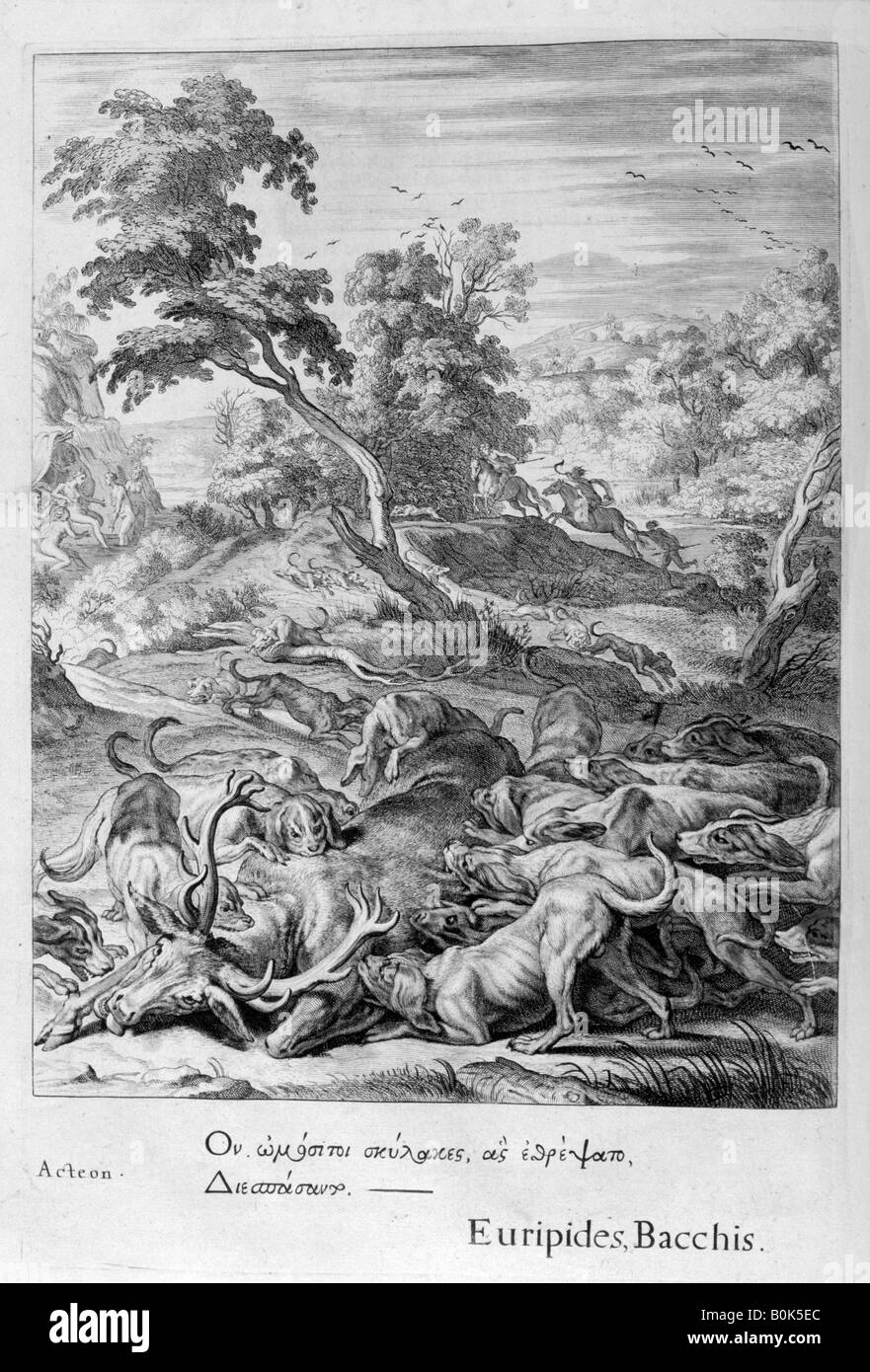 Actaeon devoured by hound hi-res stock photography and images - Alamy