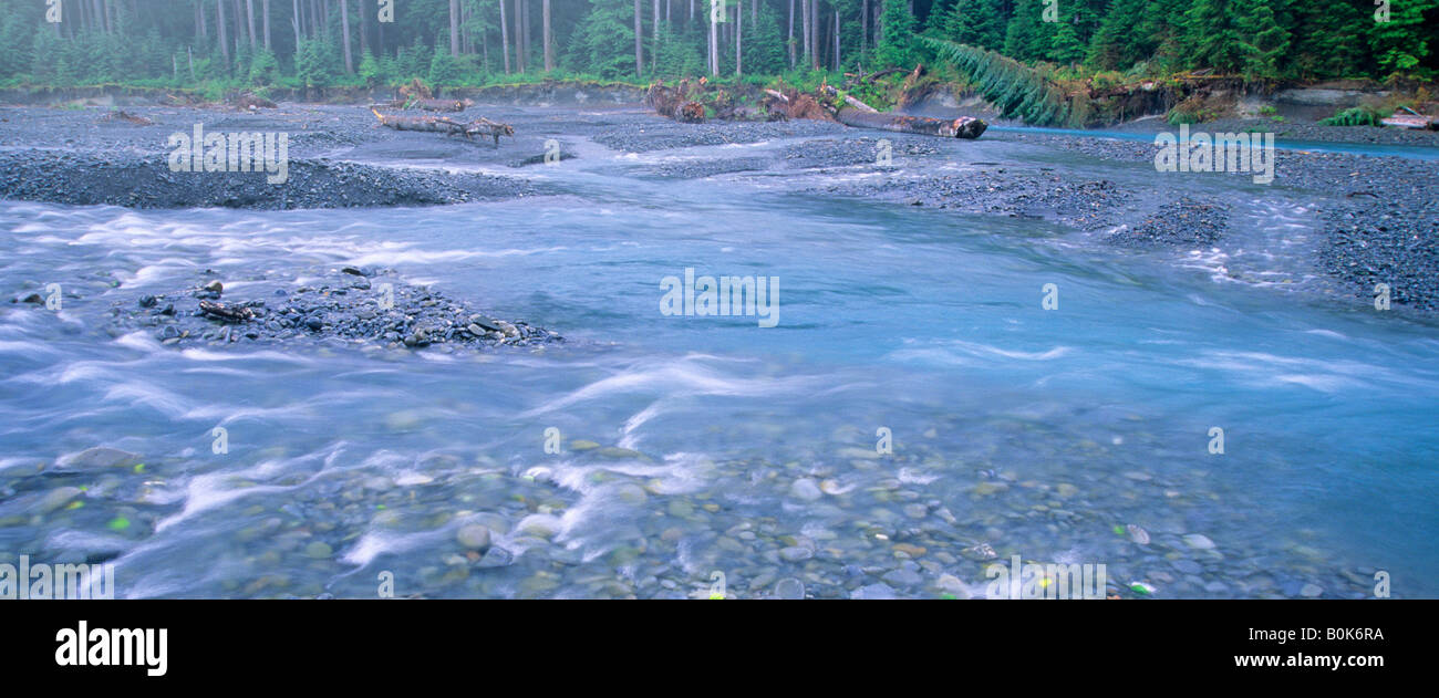 Upper Hoh River, Olympic National Park, Washington state Stock Photo ...