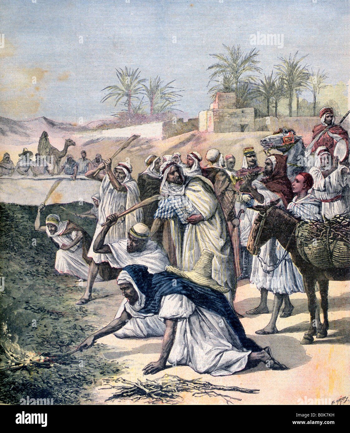 Locust plague hi-res stock photography and images - Alamy