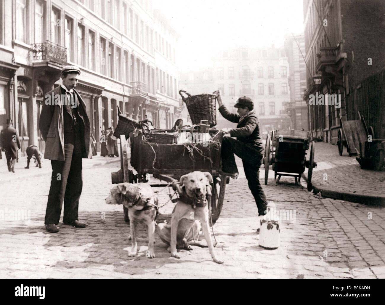 Boy with dogcart, Antwerp, 1898.Artist: James Batkin Stock Photo - Alamy