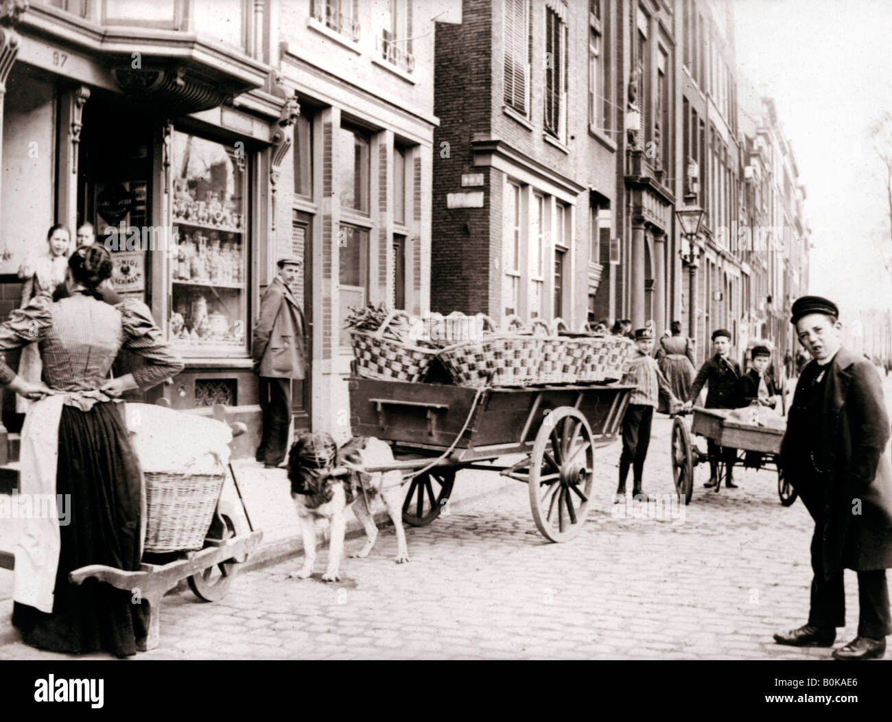 James batkin hi-res stock photography and images - Alamy