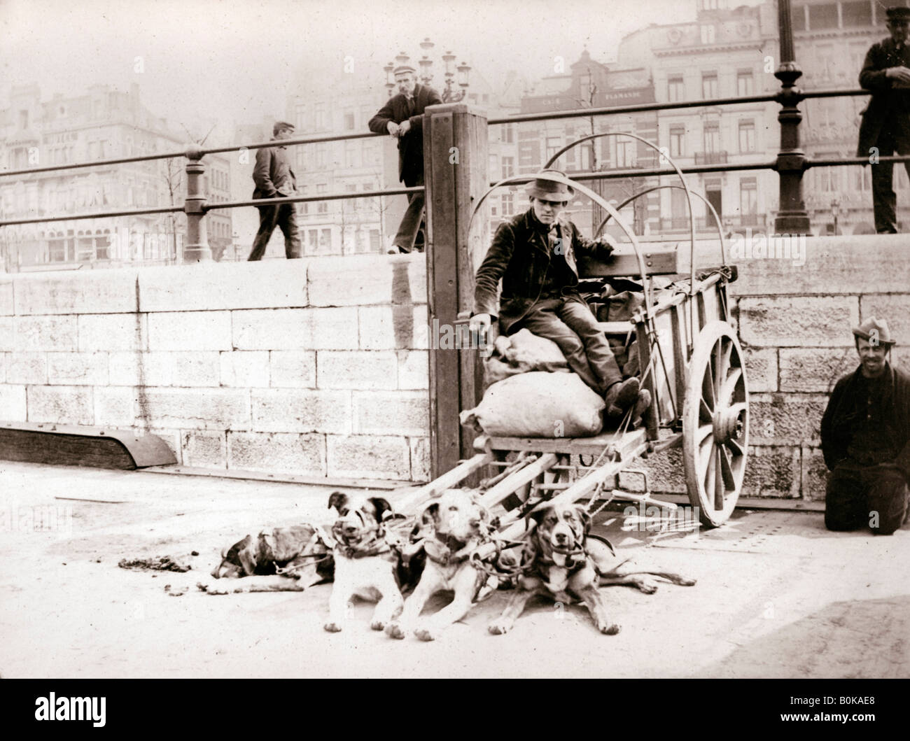 Man with dogcart, Antwerp, 1898.Artist: James Batkin Stock Photo - Alamy