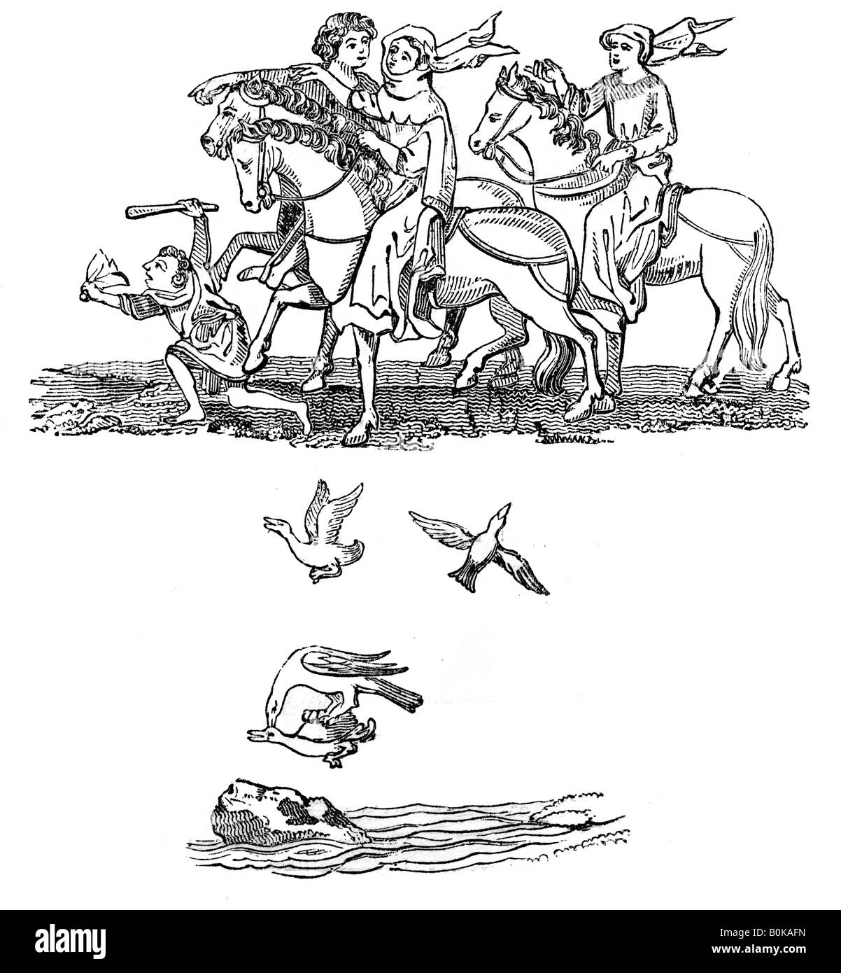 Hawk hunting middle ages hi-res stock photography and images - Alamy