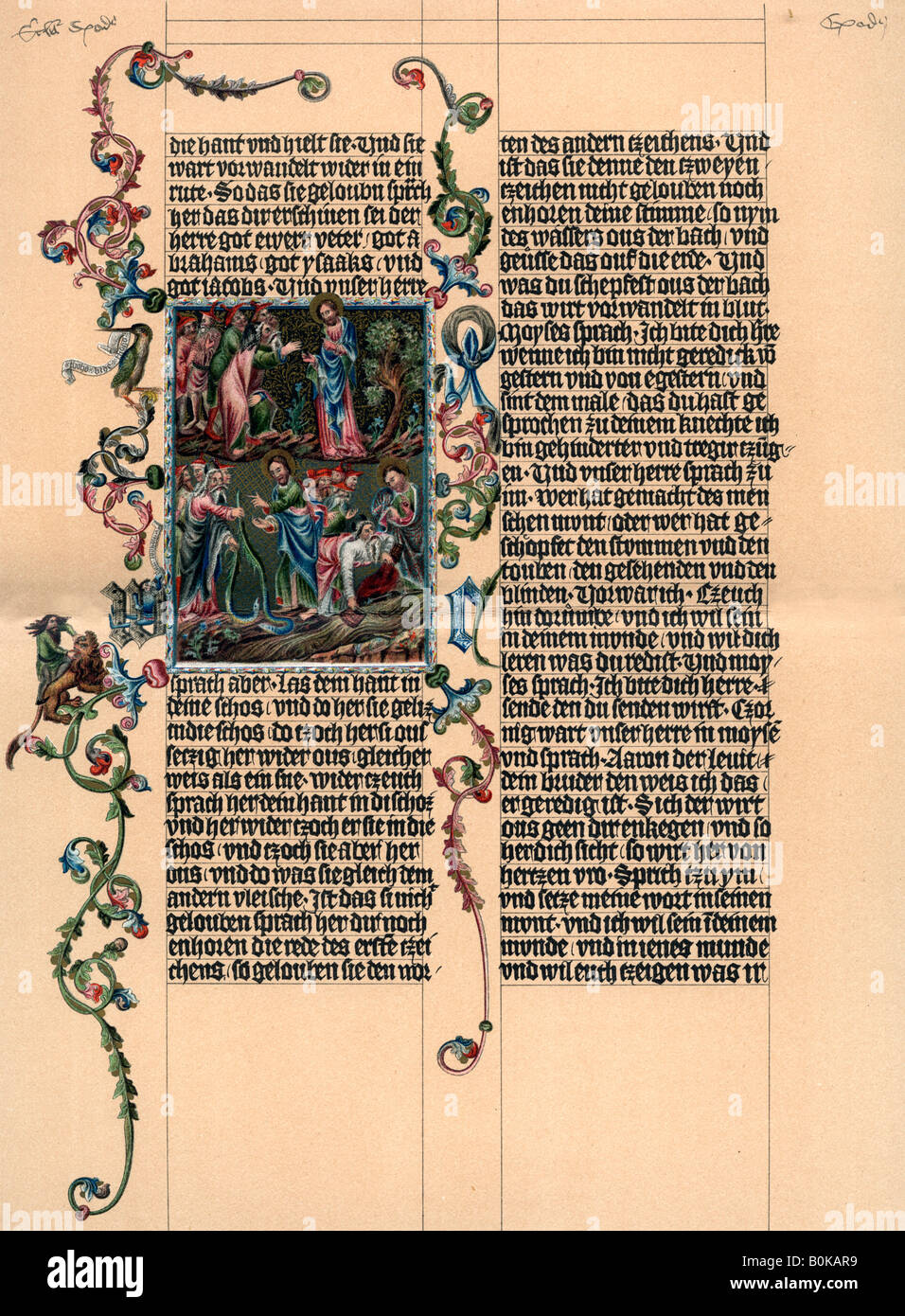 Illuminated bible page hi-res stock photography and images - Alamy
