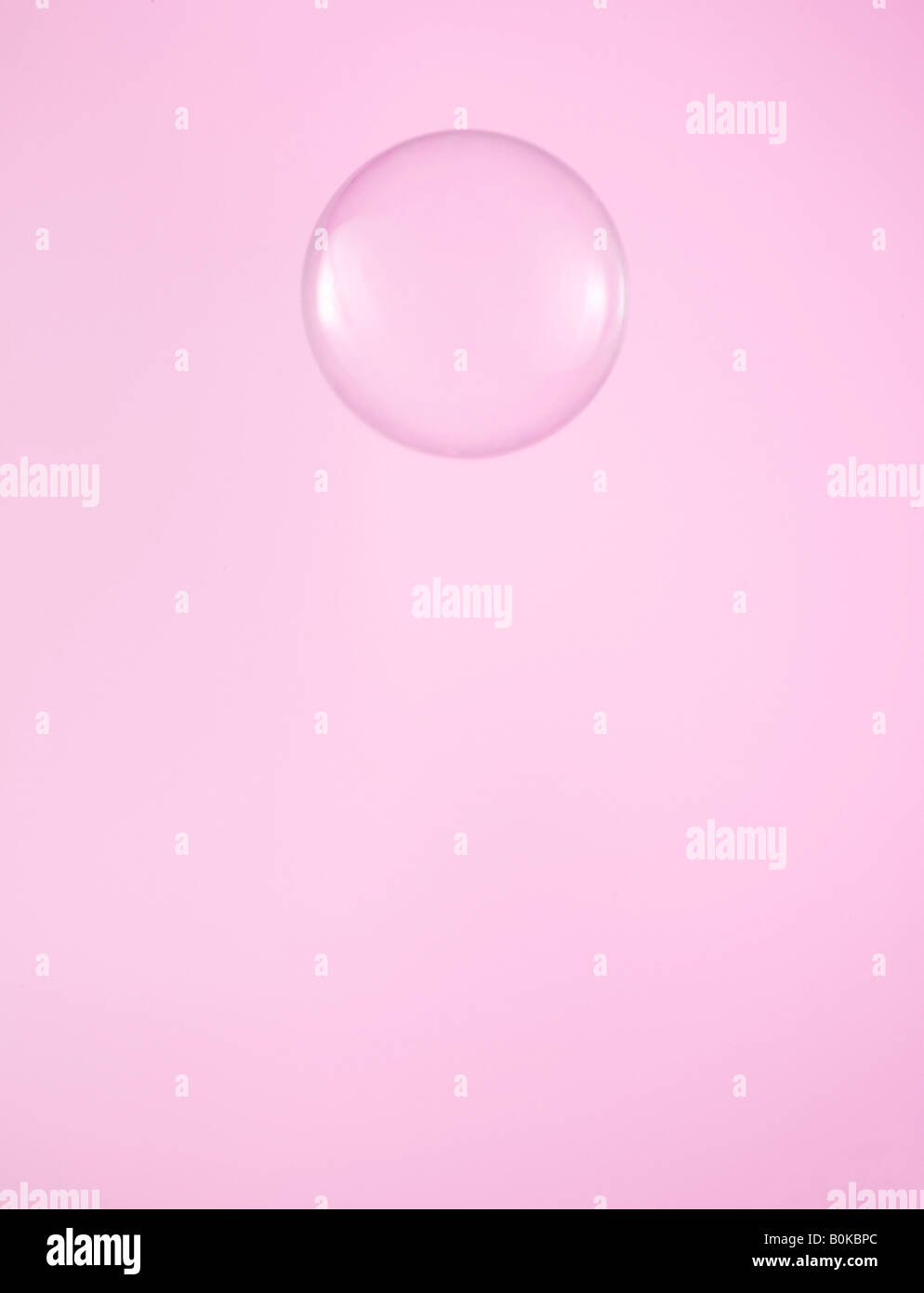 Single Water Droplet on Pink Background Stock Photo - Alamy