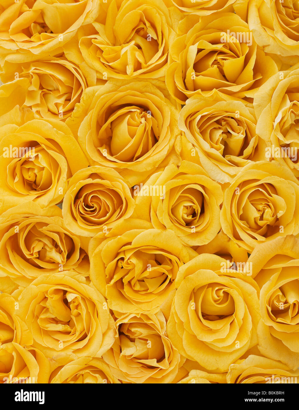Repetition yellow hi-res stock photography and images - Alamy