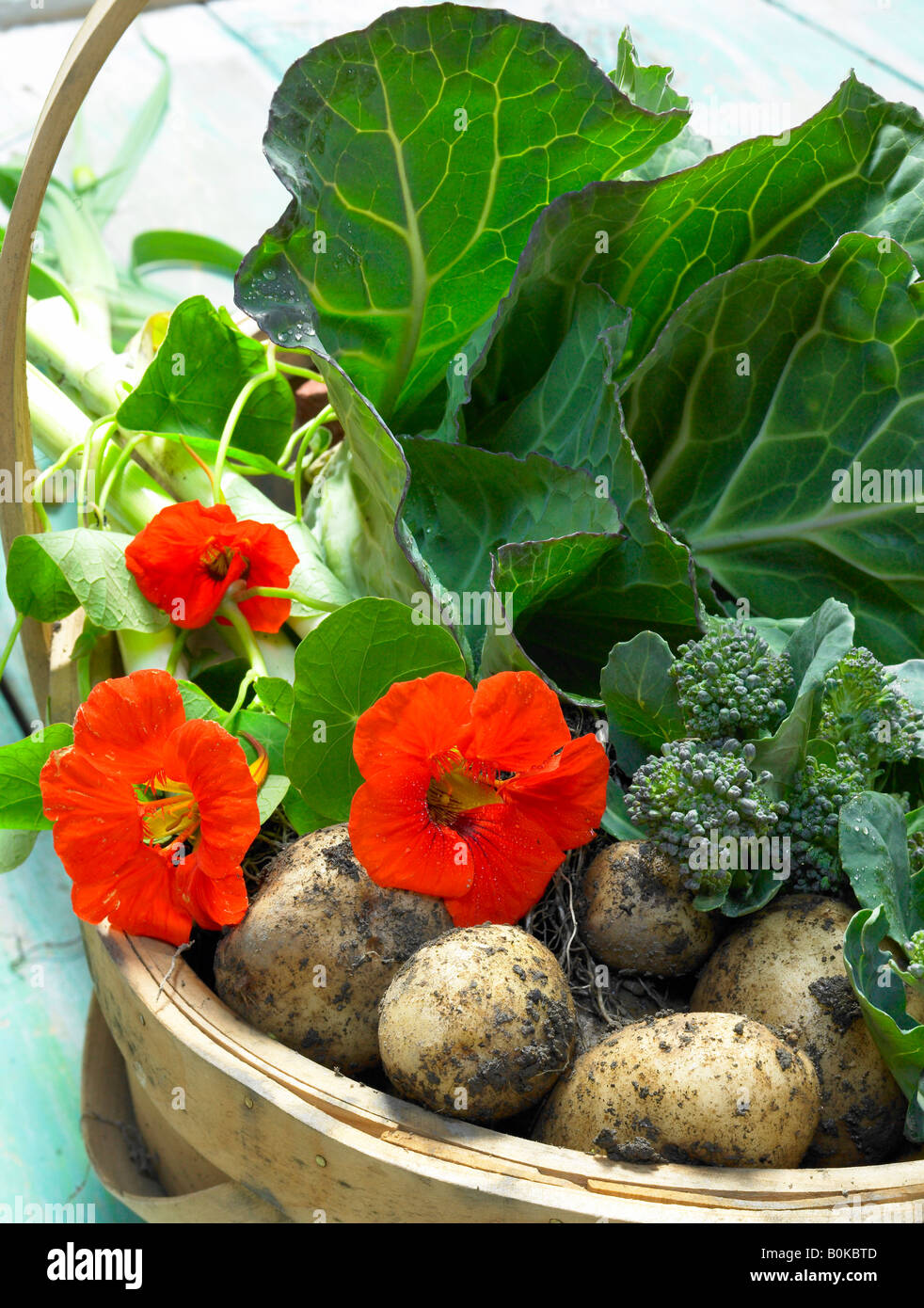 Purple sprouting broccoli basket hi-res stock photography and images ...