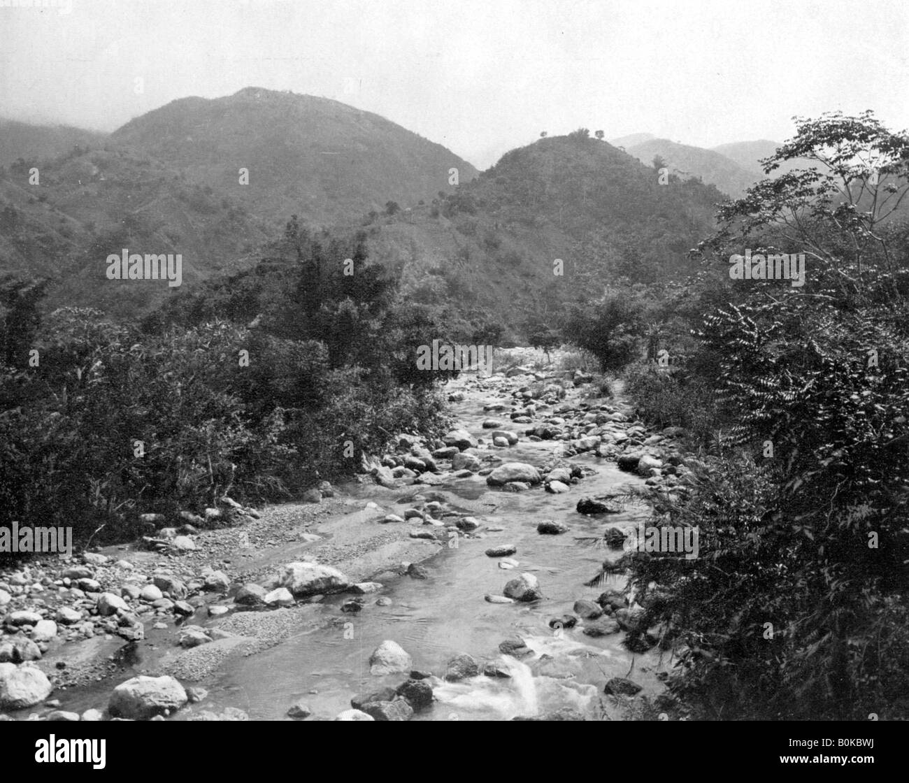 Castleton Police Station, Saint Mary (+1 876-996-4165)
