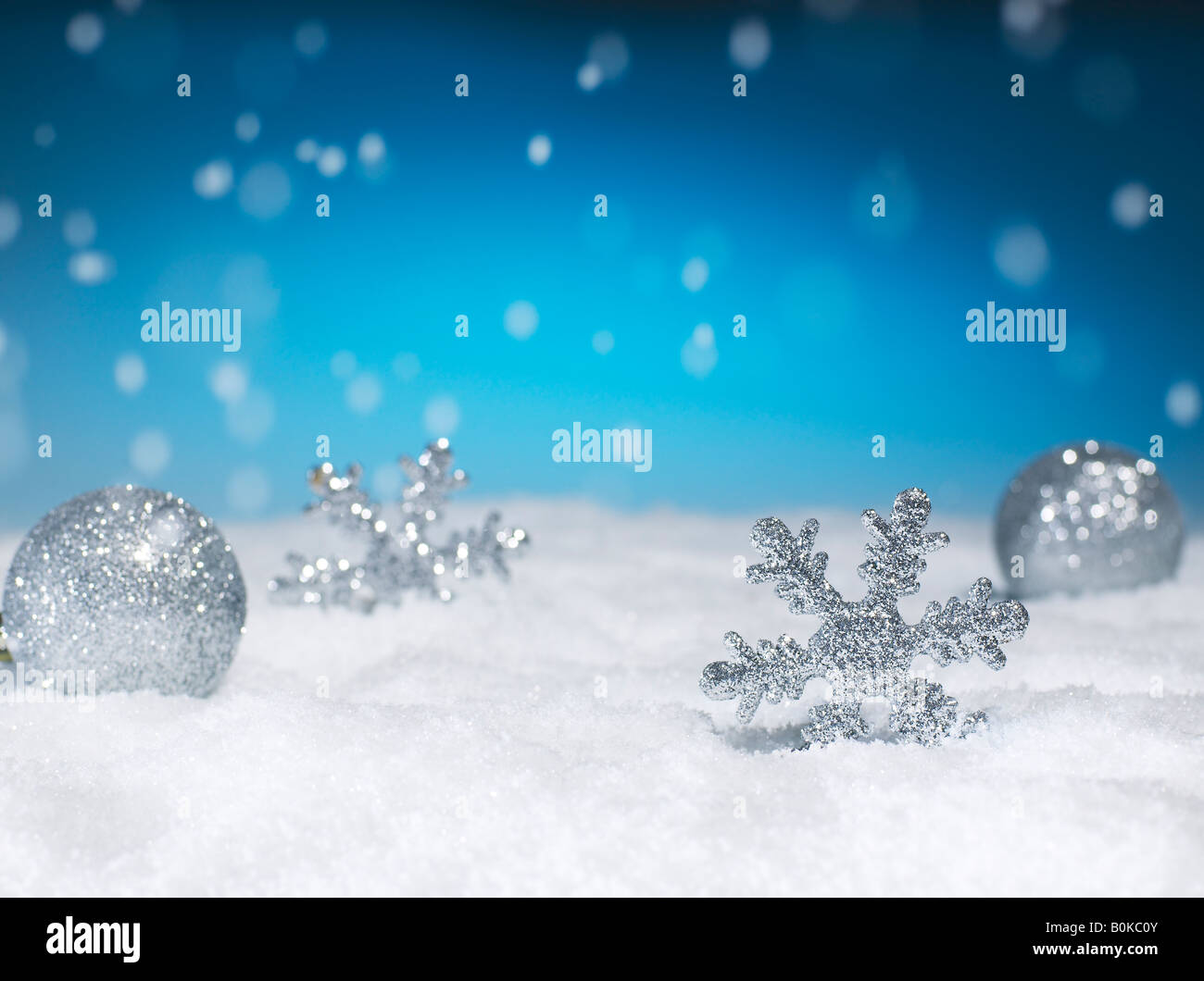 Star of the snow hi-res stock photography and images - Alamy