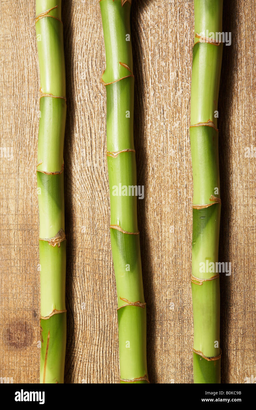 Three Bamboo Stems Stock Photo - Alamy