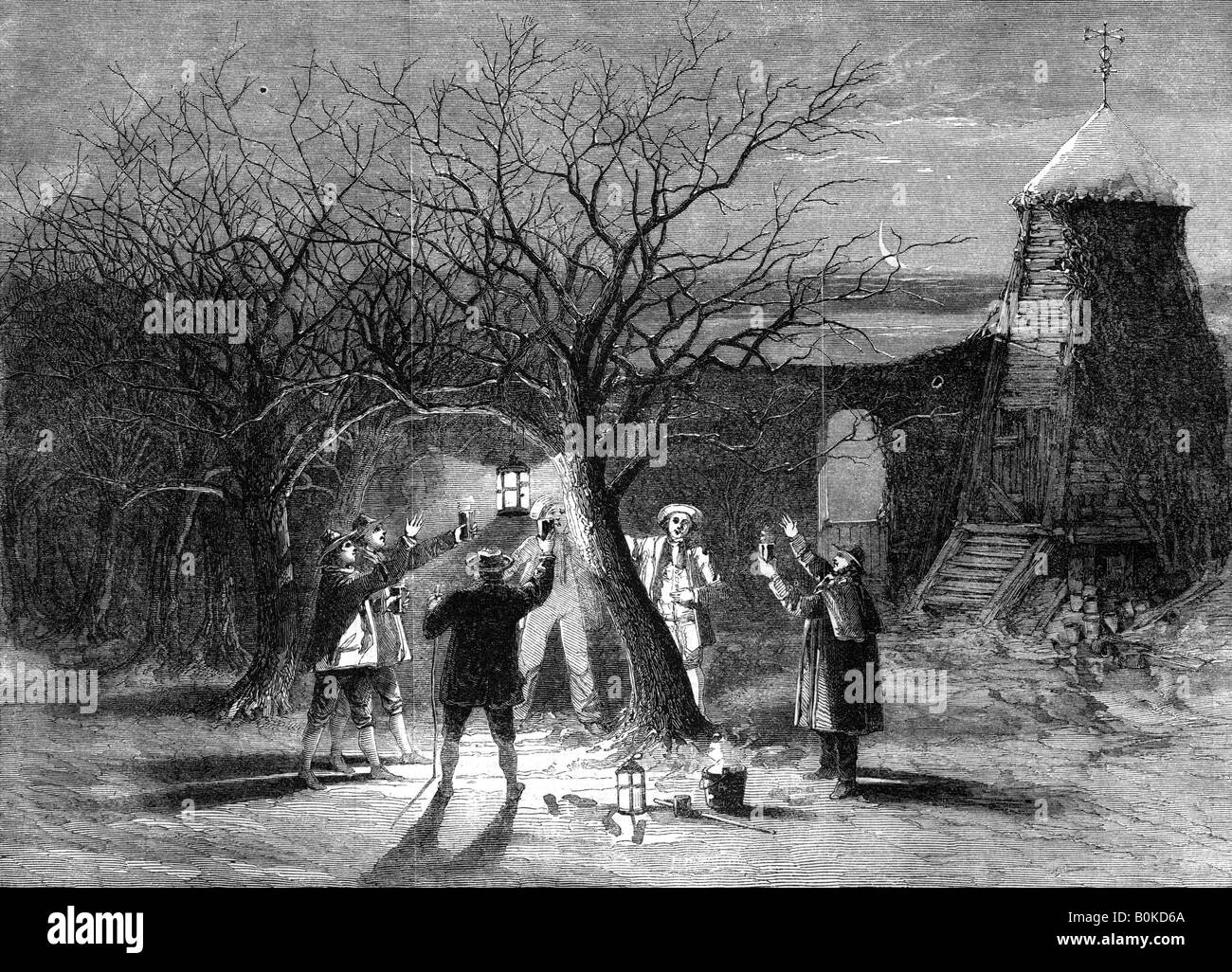 Wassailing apple trees with hot cider in Devonshire on twelfth eve ...