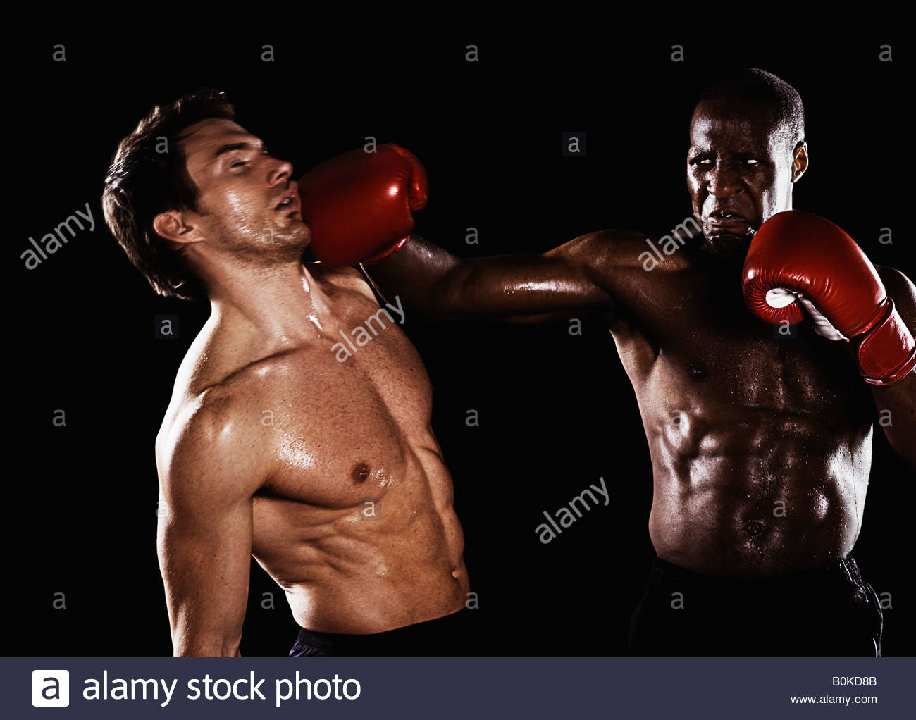 Boxer Knocked Out Stock Photos & Boxer Knocked Out Stock Images - Alamy