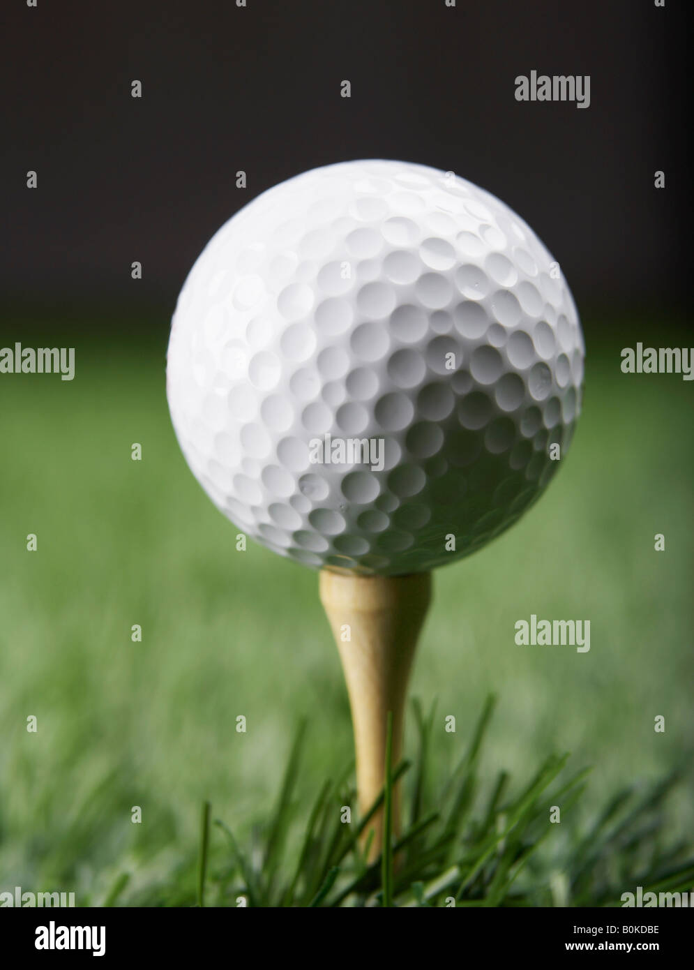 Golf Ball on Golf Tee Stock Photo - Alamy
