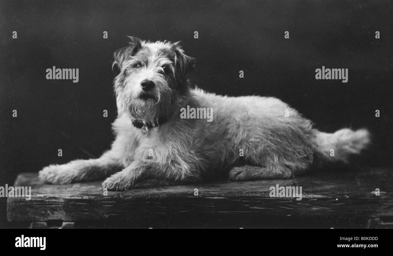 The king caesar house Black and White Stock Photos & Images - Alamy