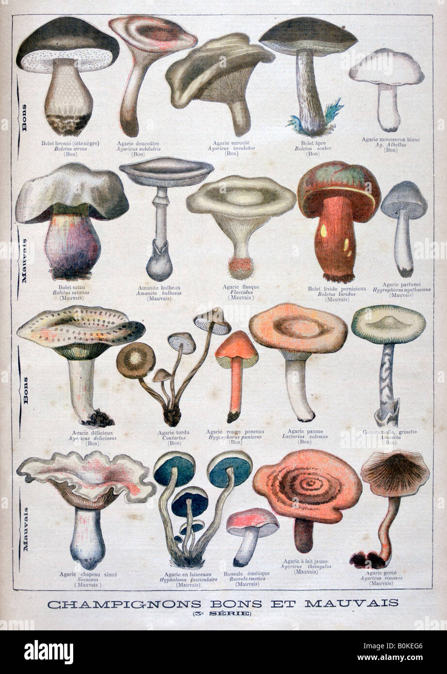 Good bad color chart hi-res stock photography and images - Alamy