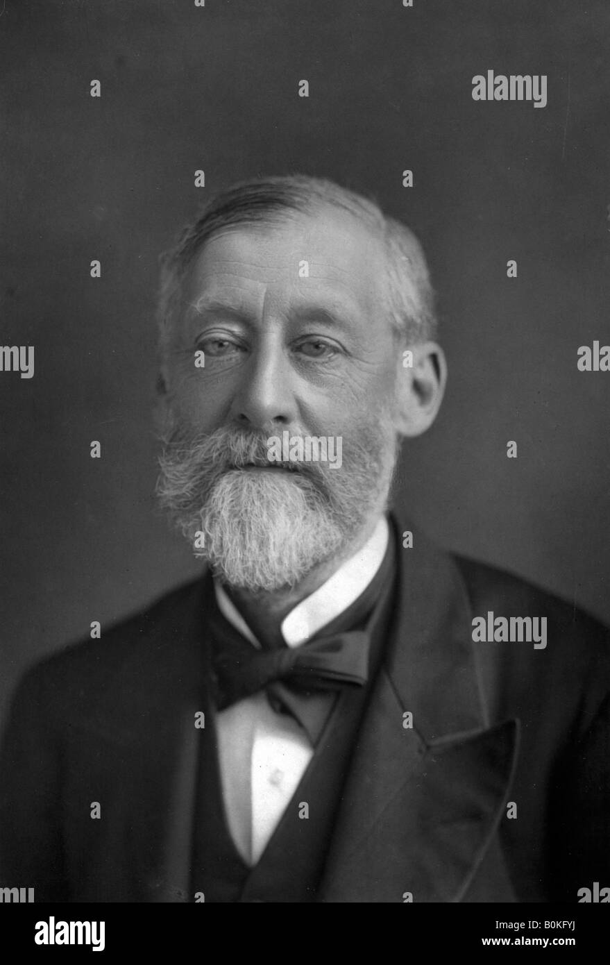 Sir Henry Frederick Ponsonby (1825-1895), 1890.Artist: W&D Downey Stock ...