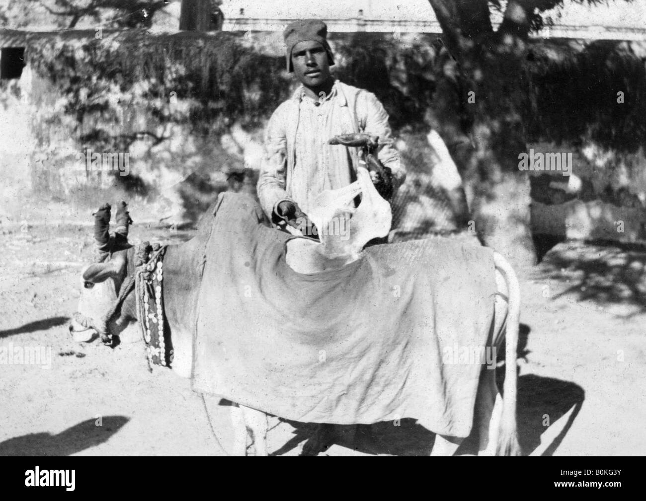 Deformed animals Black and White Stock Photos & Images - Alamy