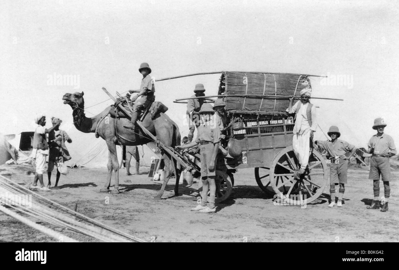 Camel cart Black and White Stock Photos & Images - Alamy
