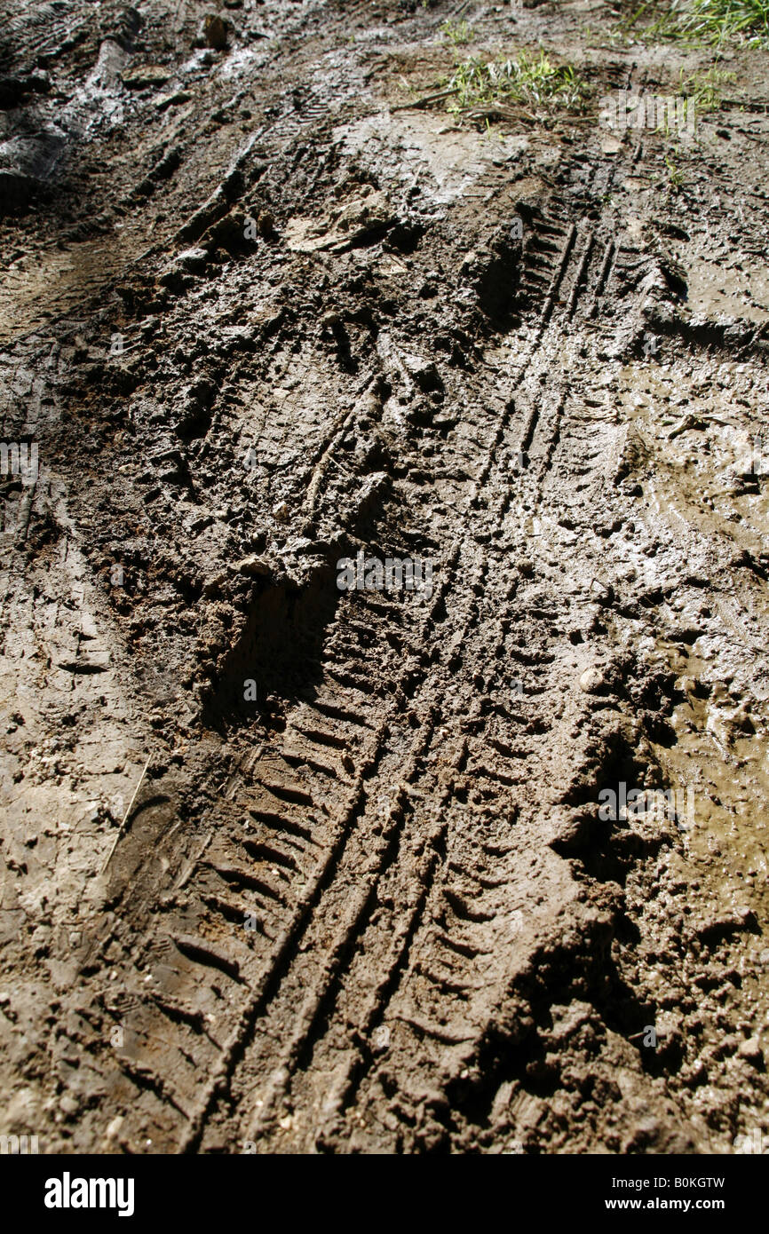 tyre tracks crossing in mud Stock Photo - Alamy