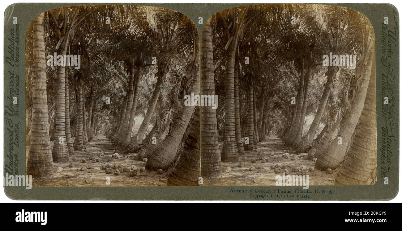 George barker hi-res stock photography and images - Alamy